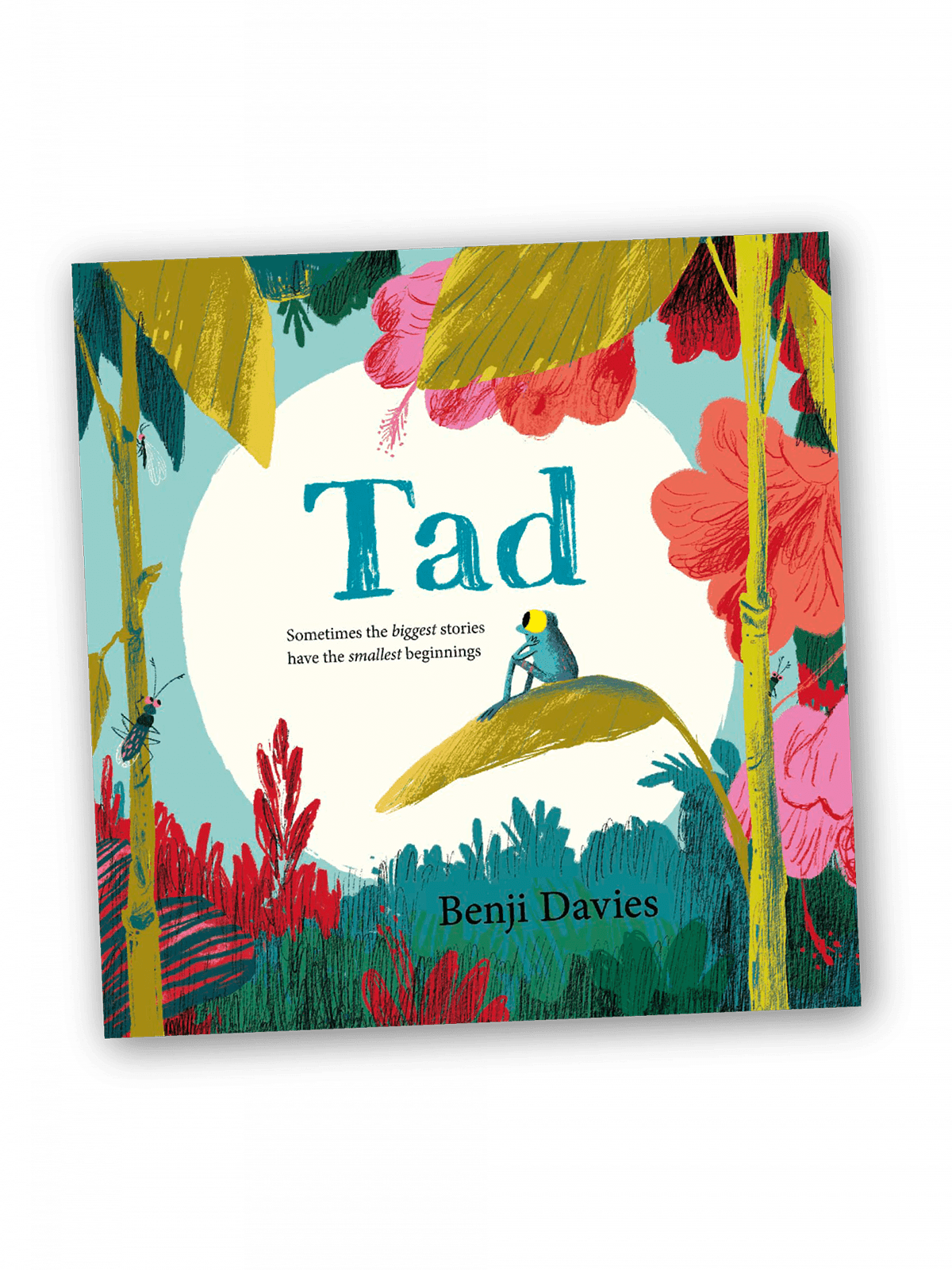 Books - The Teachers' Collection