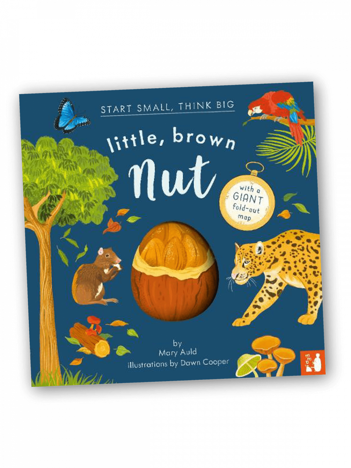 Little, Brown Nut - The Teachers' Collection