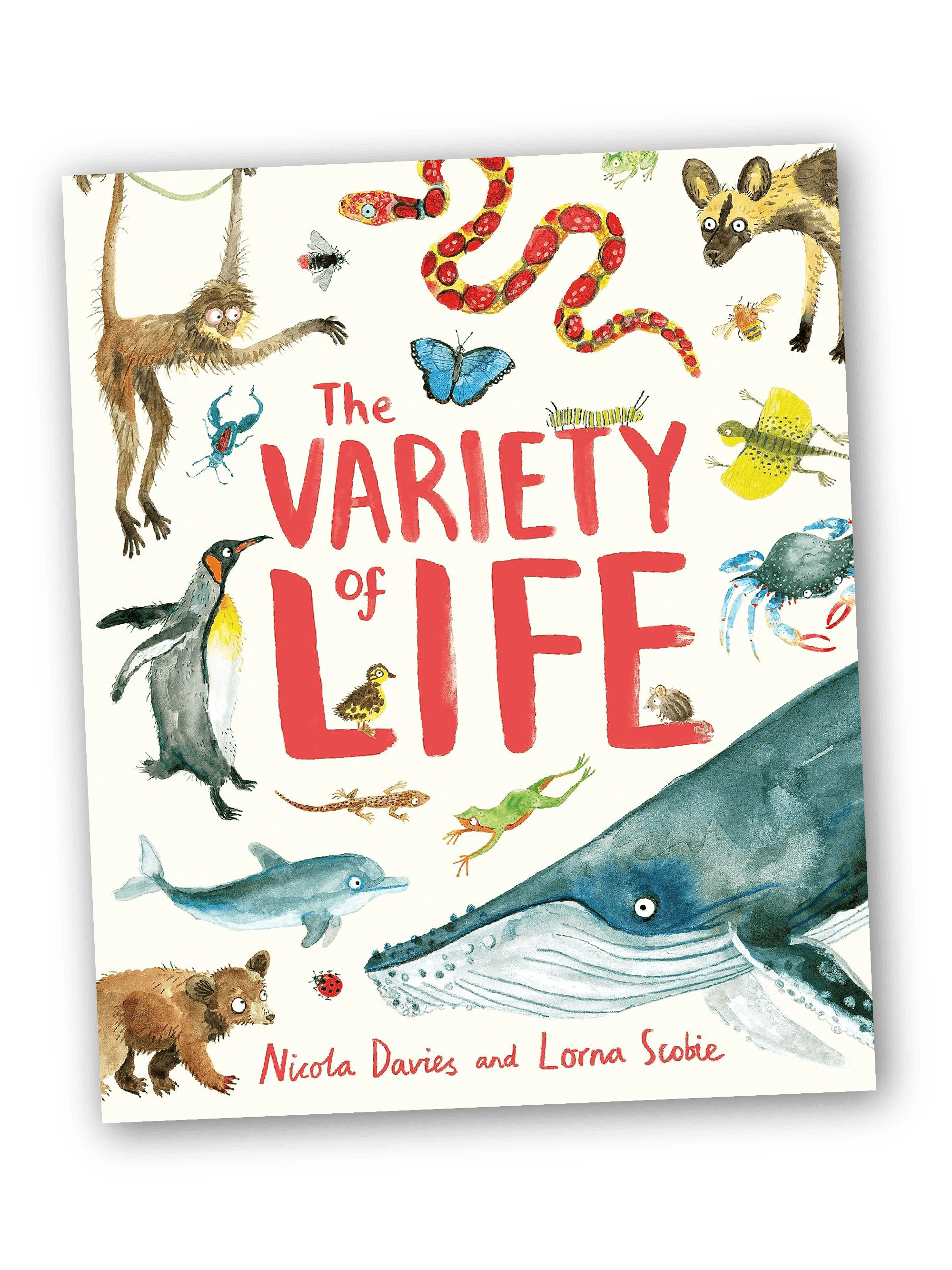 The Teachers' Collection - Stories to support curriculum planning